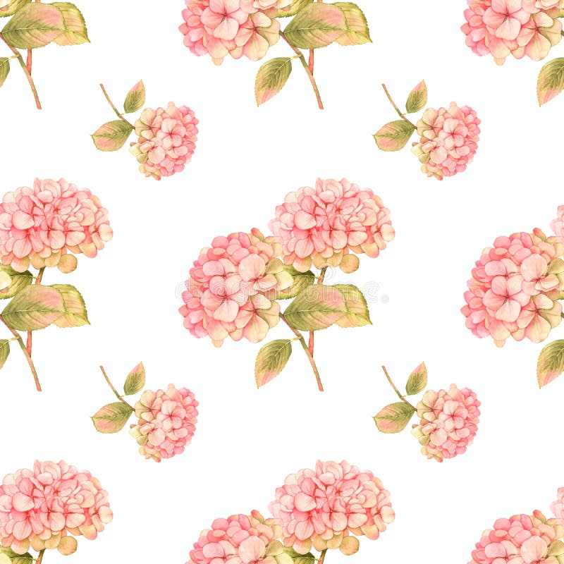 Pink Hydrangea Illustration Seamless Patten Stock Illustration ...