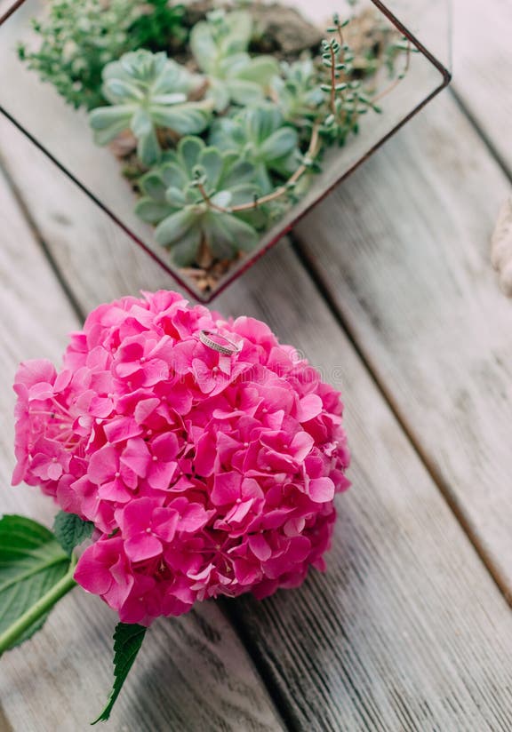 Pink Hydrangea with a Wedding Ring Stock Image - Image of event, ornate: 78554579