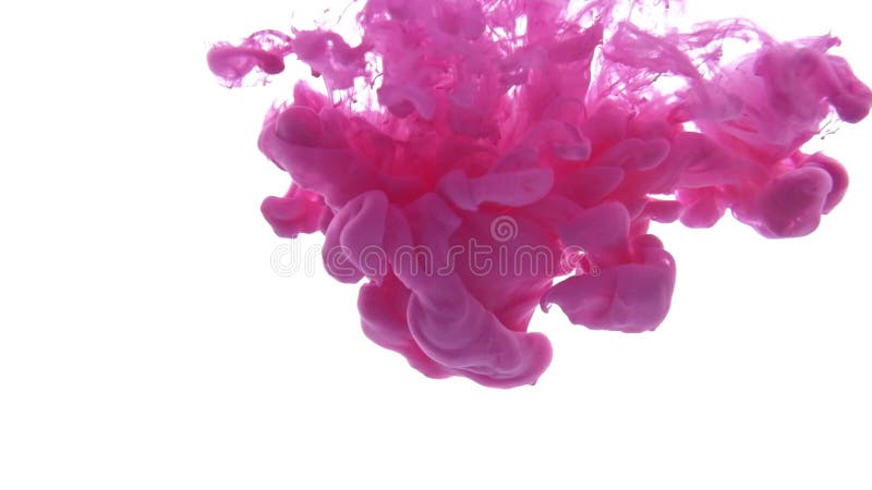 Pink Ink Dropped in Water on White Background Stock Footage - Video of ...