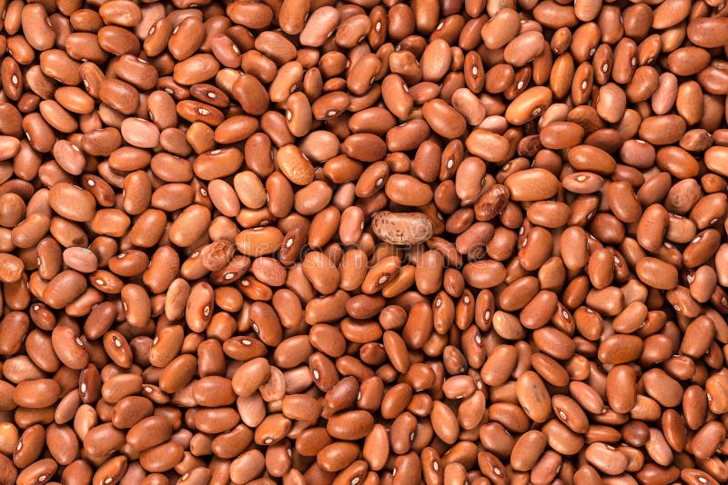 199 Pink Kidney Beans Texture Stock Photos - Free & Royalty-Free Stock ...