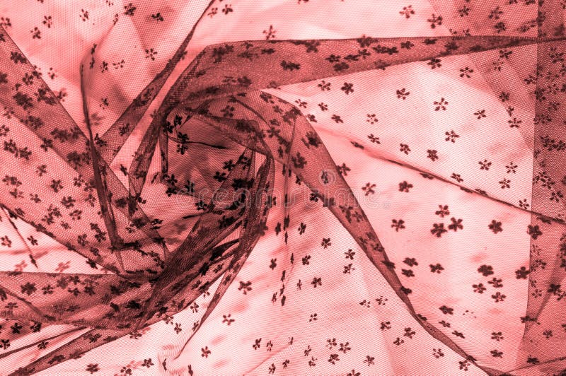 Pink Lace on White Background. Extravagance and Elegance are Com Stock ...