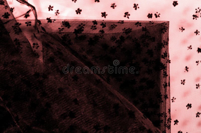 Pink Lace on White Background. Extravagance and Elegance are Com Stock ...