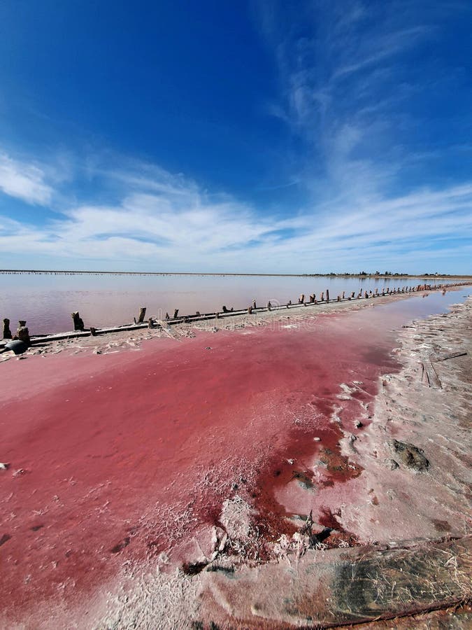 Pink Lakes in the Kherson Region Stock Image - Image of pink, wind ...