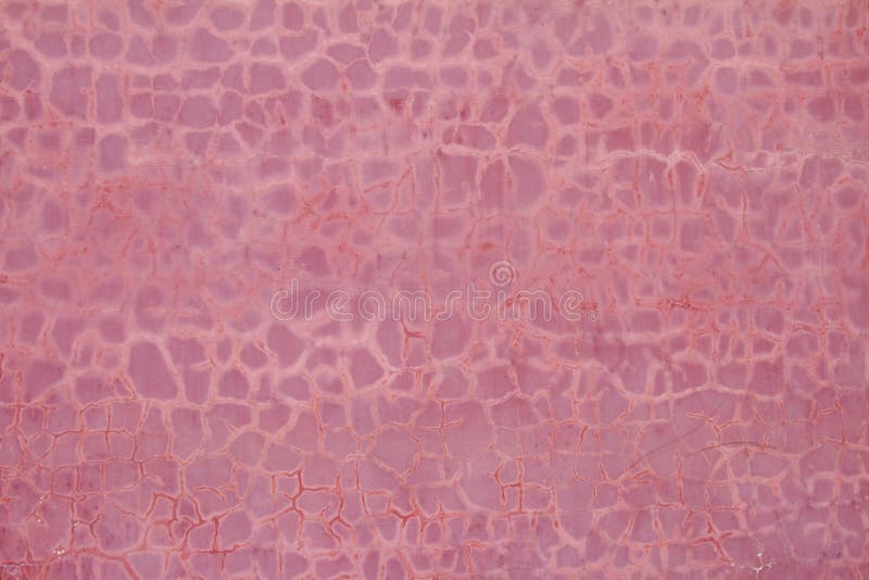 Pink large grunge textures stock photo. Image of ragged - 23437660