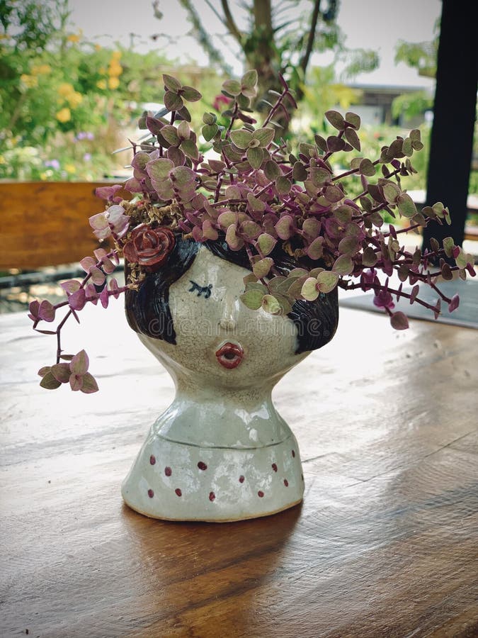 Pink leaf tree in pot stock image. Image of leaf, pink - 175388687