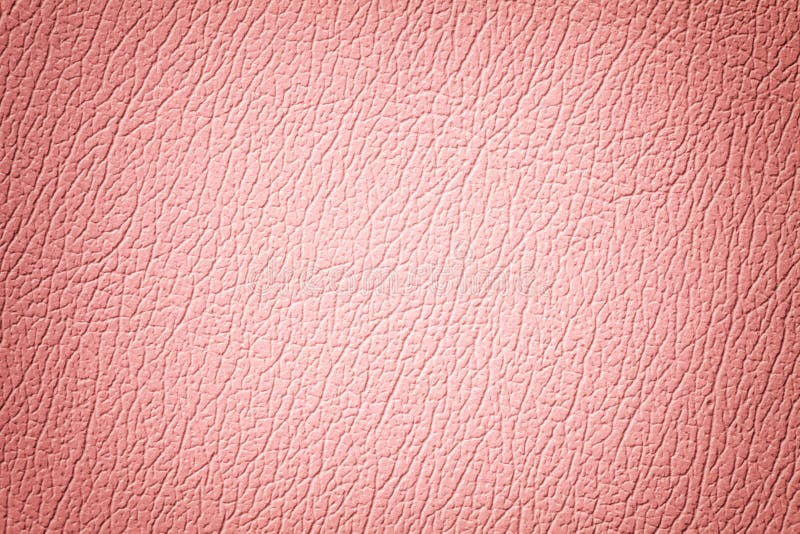 886 Light Pink Color Leather Pattern Stock Photos - Free & Royalty-Free ...