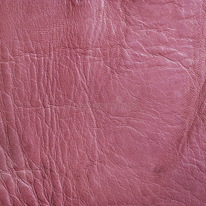 Pink leather texture stock photo. Image of background - 17489236