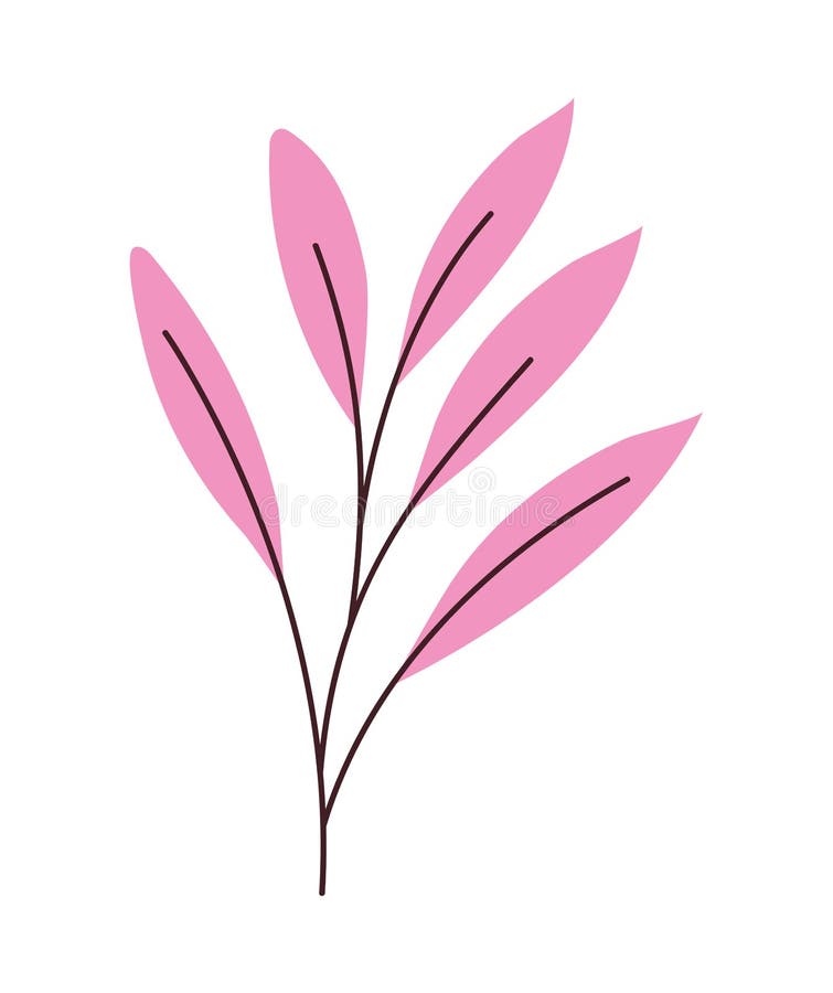 Pink leaves isolated stock vector. Illustration of leafs - 221647695