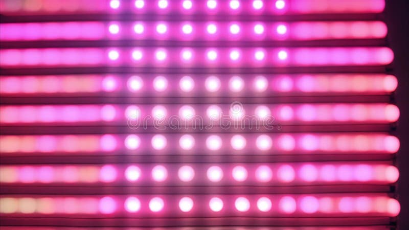 Pink LED Lights stock footage. Video of style, light - 347298074