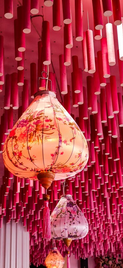 The Pink Lights stock photo. Image of flower, purple - 206560800