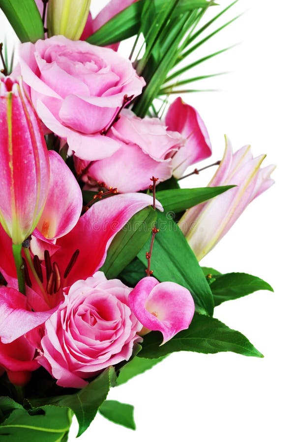 Pink lillyes and roses stock photo. Image of flora, isolated - 67086410