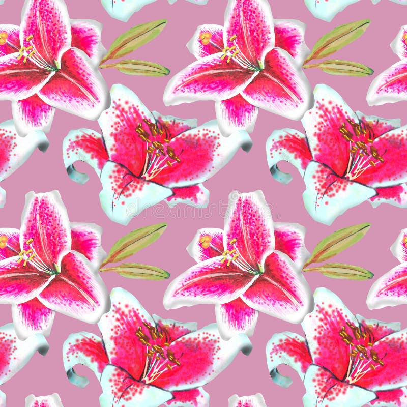 Pink Lily Pattern Illustration,hand Drawing.the Drawing is Made with ...