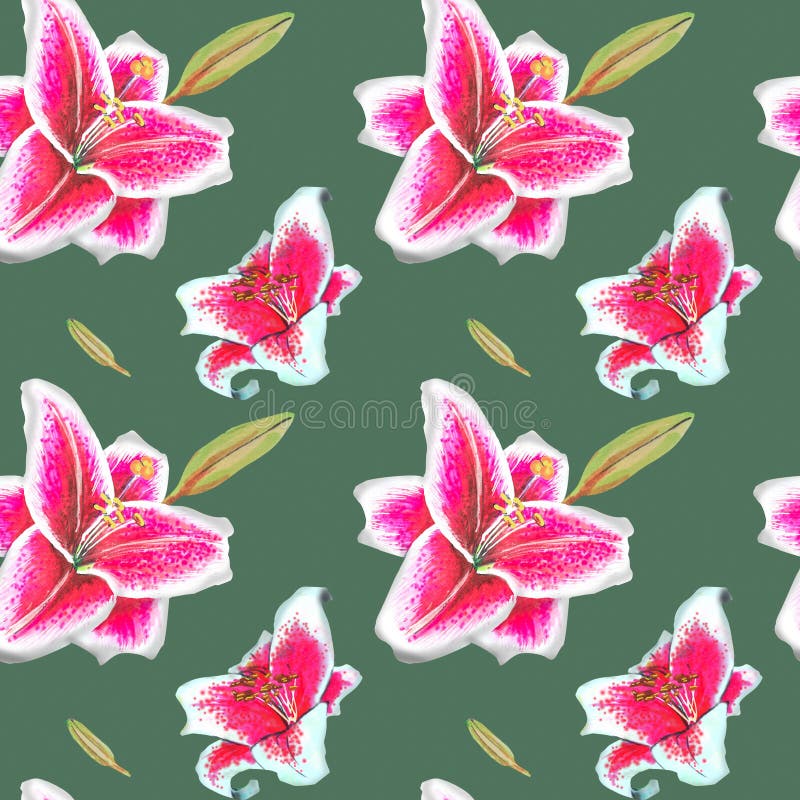 Pink Lily Pattern Illustration,hand Drawing.the Drawing is Made with ...