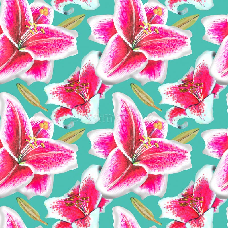 Pink Lily Pattern Illustration,hand Drawing.the Drawing is Made with ...