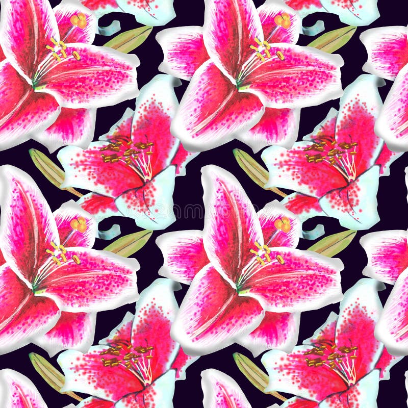 Pink Lily Pattern Illustration,hand Drawing.the Drawing is Made with ...