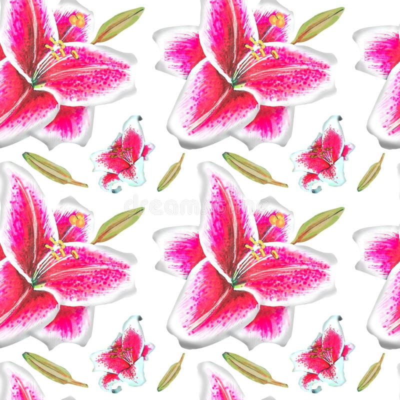 Pink Lily Illustration,hand Drawing.the Drawing is Made with Alcohol ...