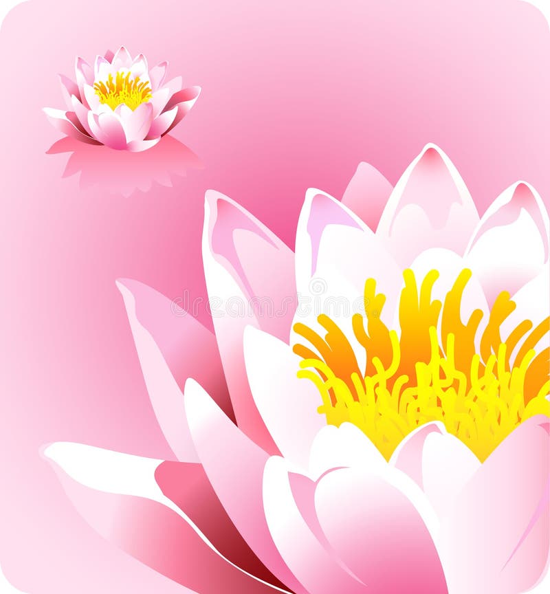 Pink Lotus Flower. Paper Cutout Stock Vector - Illustration of ...