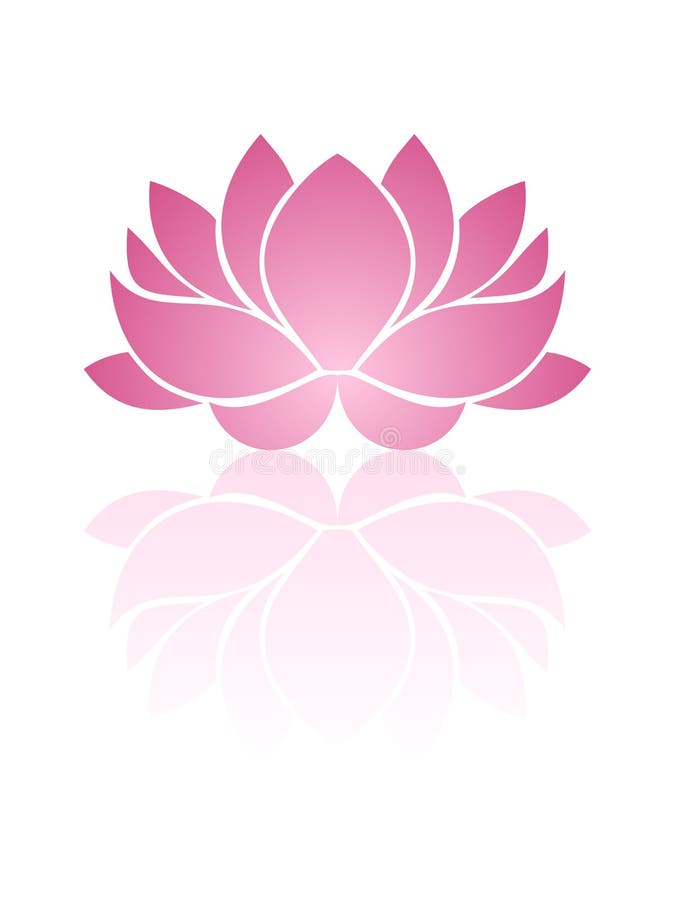Pink lotus. stock vector. Illustration of lily, nature - 32995249