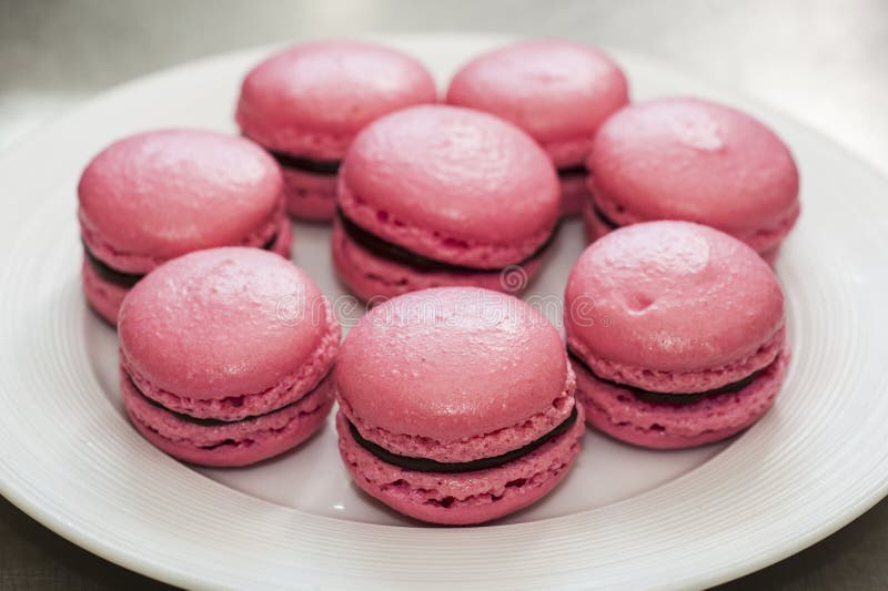 Strawberry Macaroons stock photo. Image of chocolate - 13047910