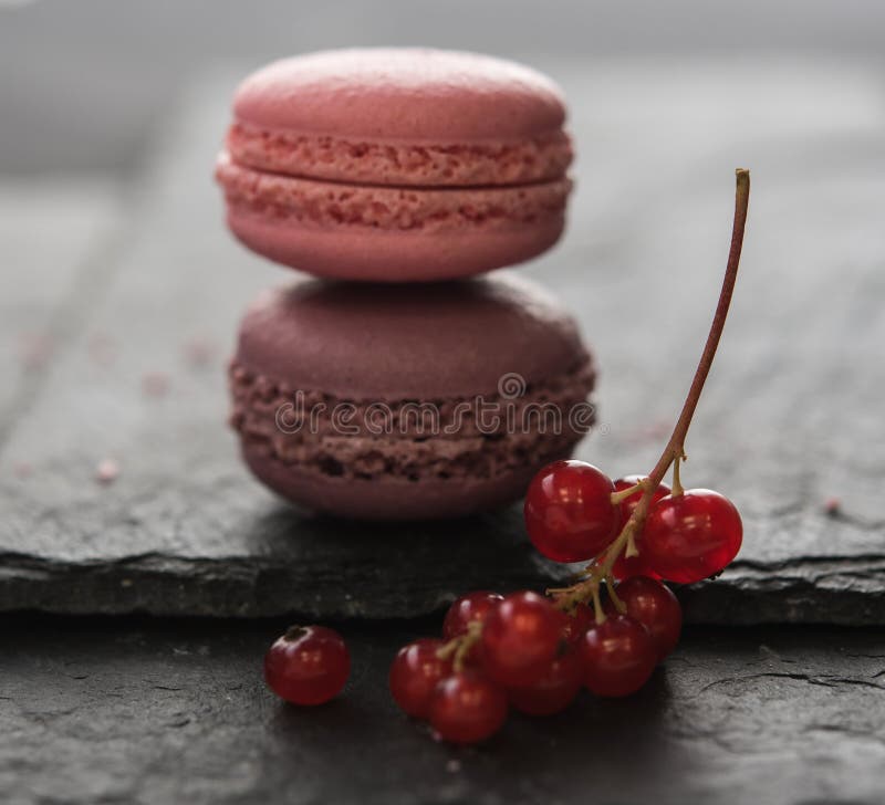 Pink Macaroons Red Currant Low Key Macro Black Board Close Up Back ...