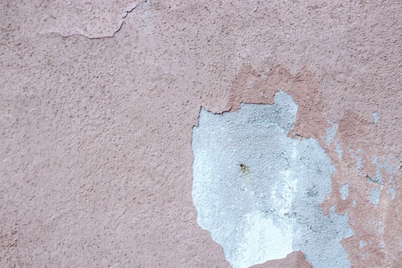Pink Messy Bright Primer on Drywall Plank Texture - Cute Abstract Photo ...
