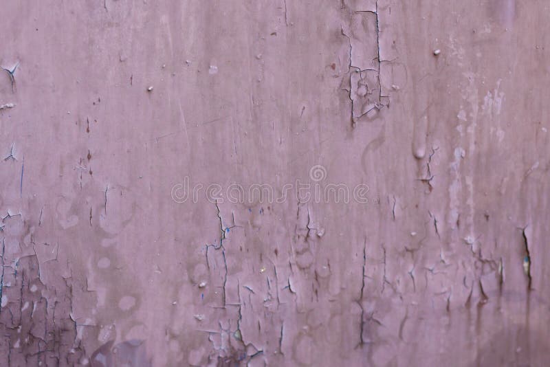 Pink Messy Bright Primer on Drywall Plank Texture - Cute Abstract Photo ...