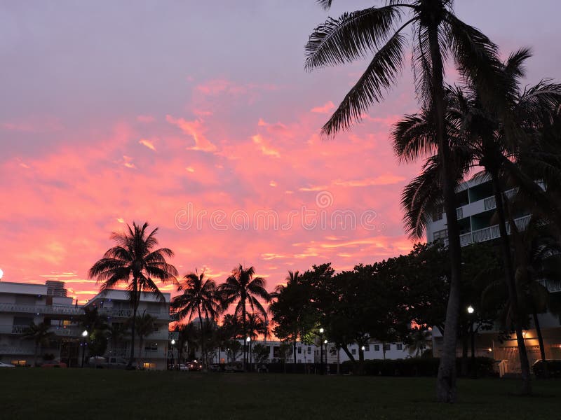 Pink stock photo. Image of miami, beach, pink, sunset - 53810370