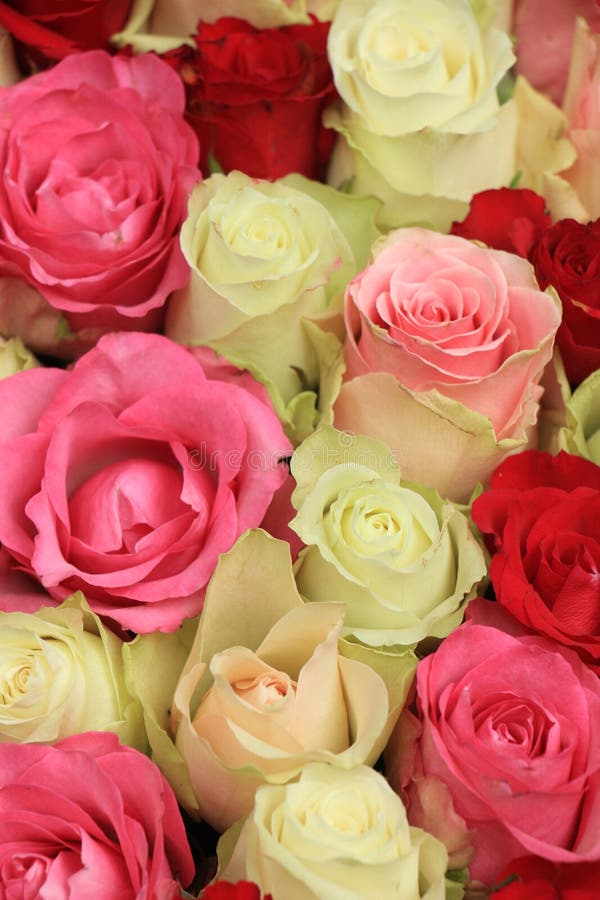 Mixed Roses Flower Arrangement Stock Photo - Image of rose, arrangement ...