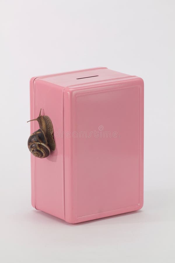 Pink Pig Money Box Isolated Stock Image - Image of debt, currency: 23018301