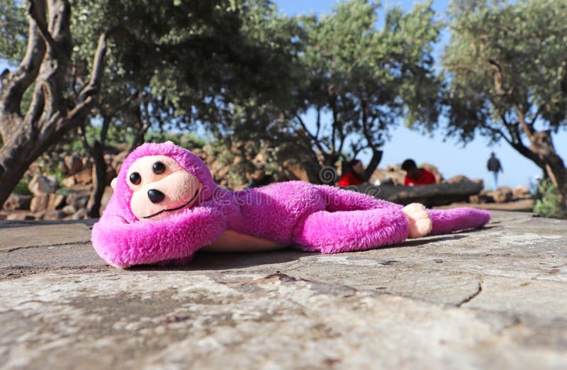 Pink monkey toy resting stock photo. Image of animal - 144336652