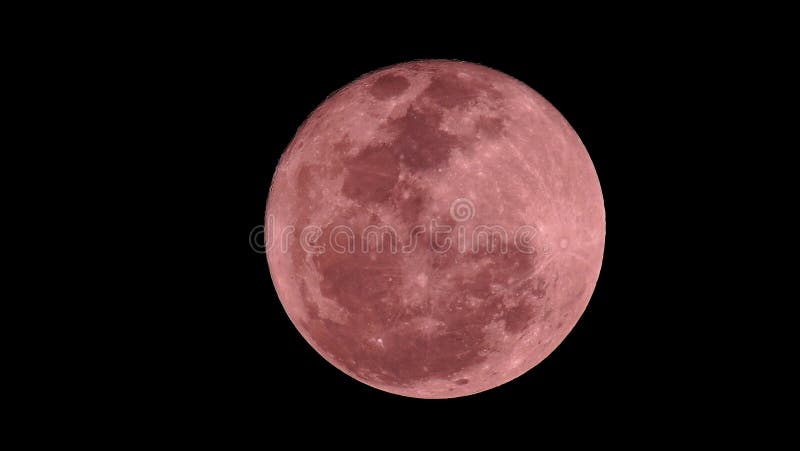 Pink moon stock photo. Image of astronomy, celestial - 51362502