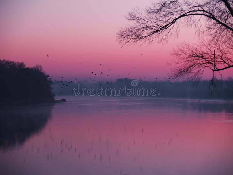 Pink morning stock photo. Image of sunrise, landscape - 1780644
