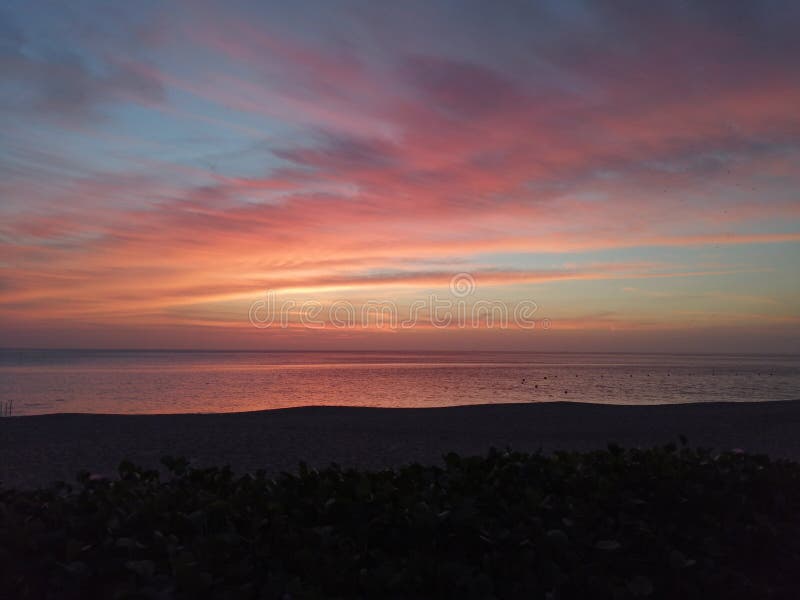 Pink morning skylight stock photo. Image of afterglow - 225269700