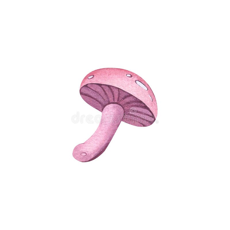 Pink Mushroom. Toadstool. Element from the World of Magic. Hand Drawn ...