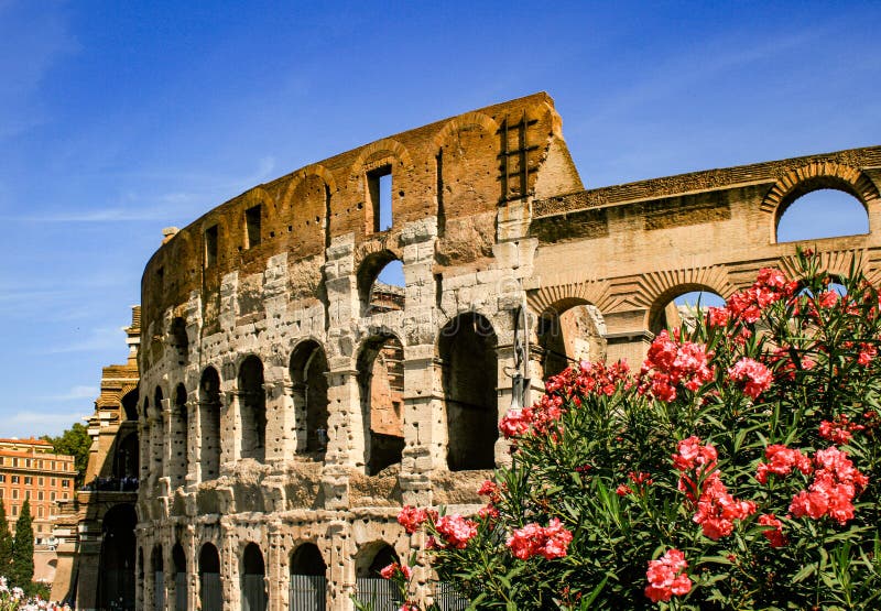 Pink Oleander Flowers in the Foreground of the Colosseum in Rome Stock ...