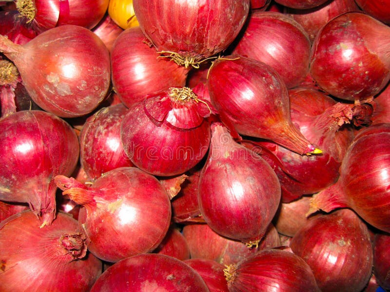 Pink onion stock photo. Image of fruit, vegetable, dessert - 378817644