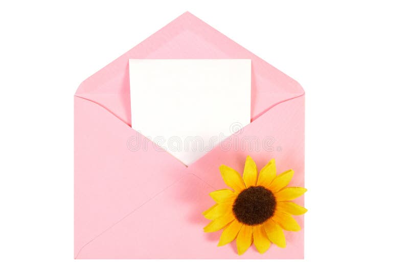 Pink Open Envelope with Paper Isolated Stock Photo - Image of blank ...