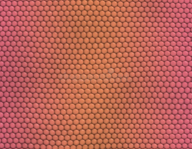 Pink and Orange Gradient Snake Skin Pattern, Hexagonal Scale Stock ...