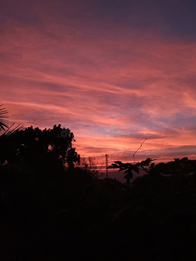 Pink and orange sunset stock image. Image of treeshadow - 225567595