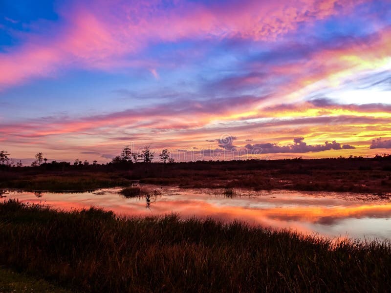 Pink Fog No Backgroung Stock Photos - Free & Royalty-Free Stock Photos ...