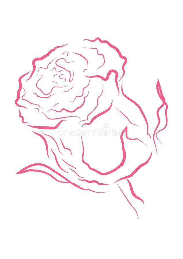 Pink Outline Rose with Different Stroke Effects. Stock Vector ...