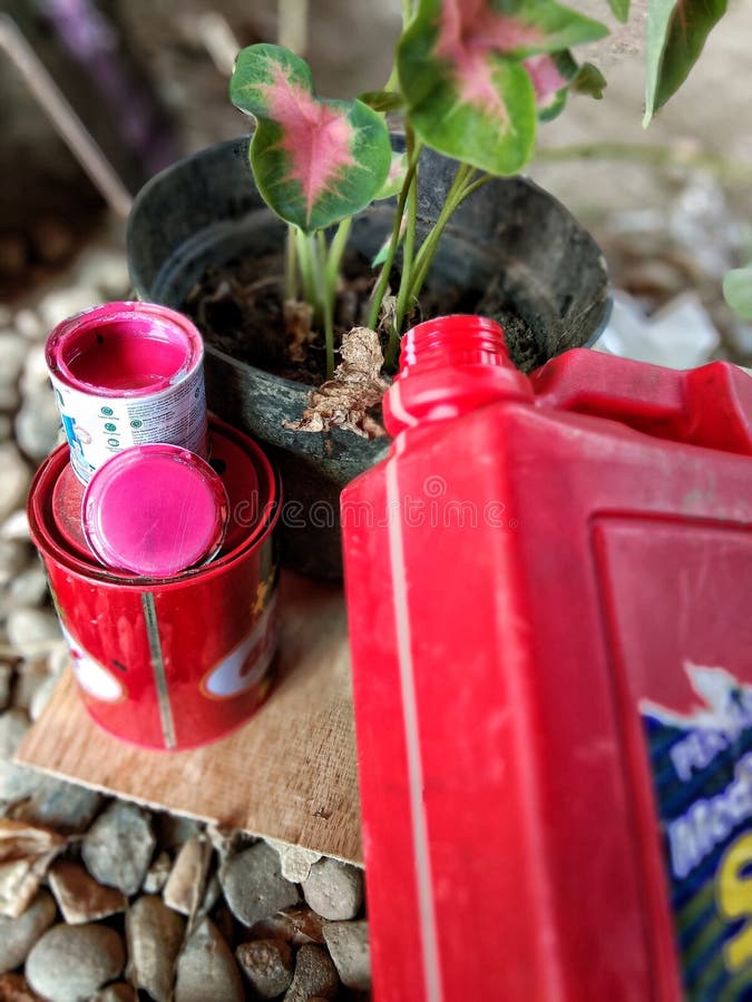 Pink Paint Can and Oil Bottle Stock Photo - Image of pink, bottle ...