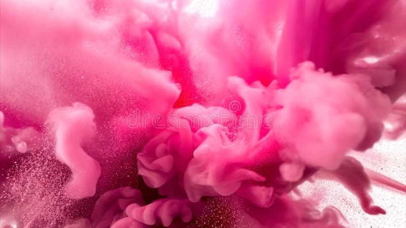 Pink Paint Explosion Splash Abstract Background. Dust Explode on White ...