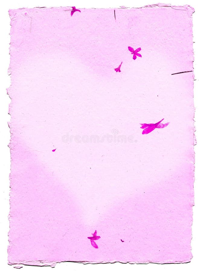 529 Pink Floral Scrapbook Paper Border Stock Photos - Free & Royalty ...