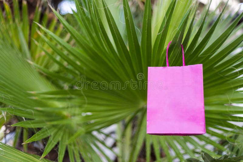 Pink Paper Bag on a Palm Leave. Mockup. Stock Photo - Image of pack ...