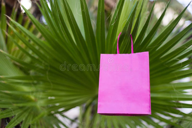 Pink Paper Bag on a Palm Leave. Mockup. Stock Photo - Image of label ...