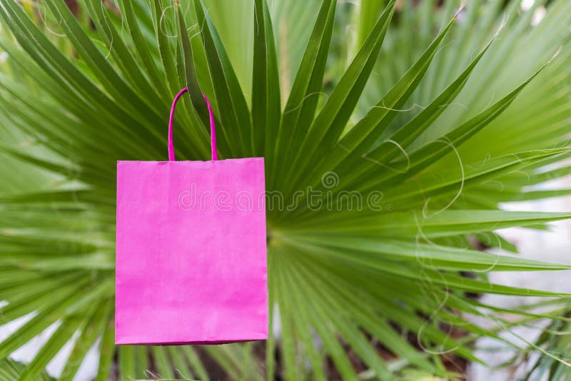 Pink Paper Bag on a Palm Leave. Mockup. Stock Photo - Image of ...