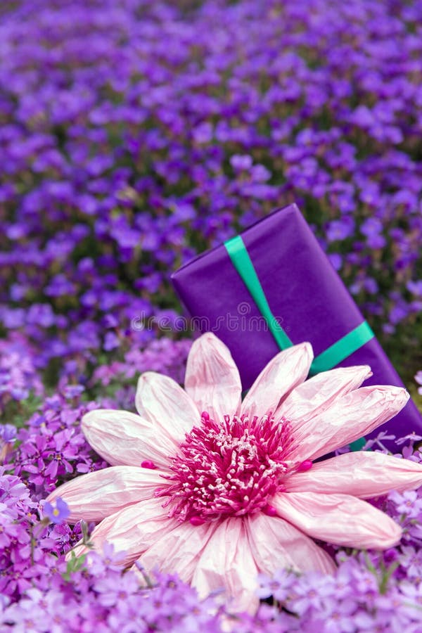 Pink Paper Flower and a Present in Front of Purple Flowers Stock Image ...
