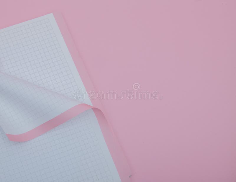 Pink Paper, Partially Rolled Up, Close-up on a Pink Background Stock ...