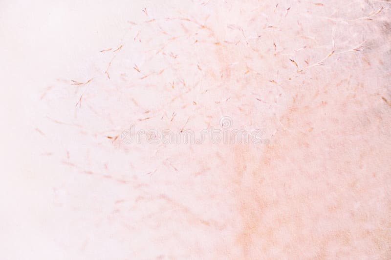 Pink Paper with Soft Flower Texture Background Stock Image - Image of ...
